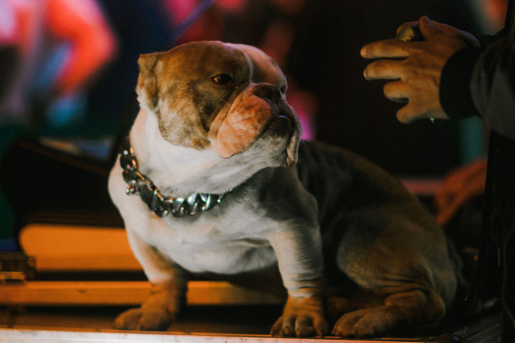 boolood - urban street events