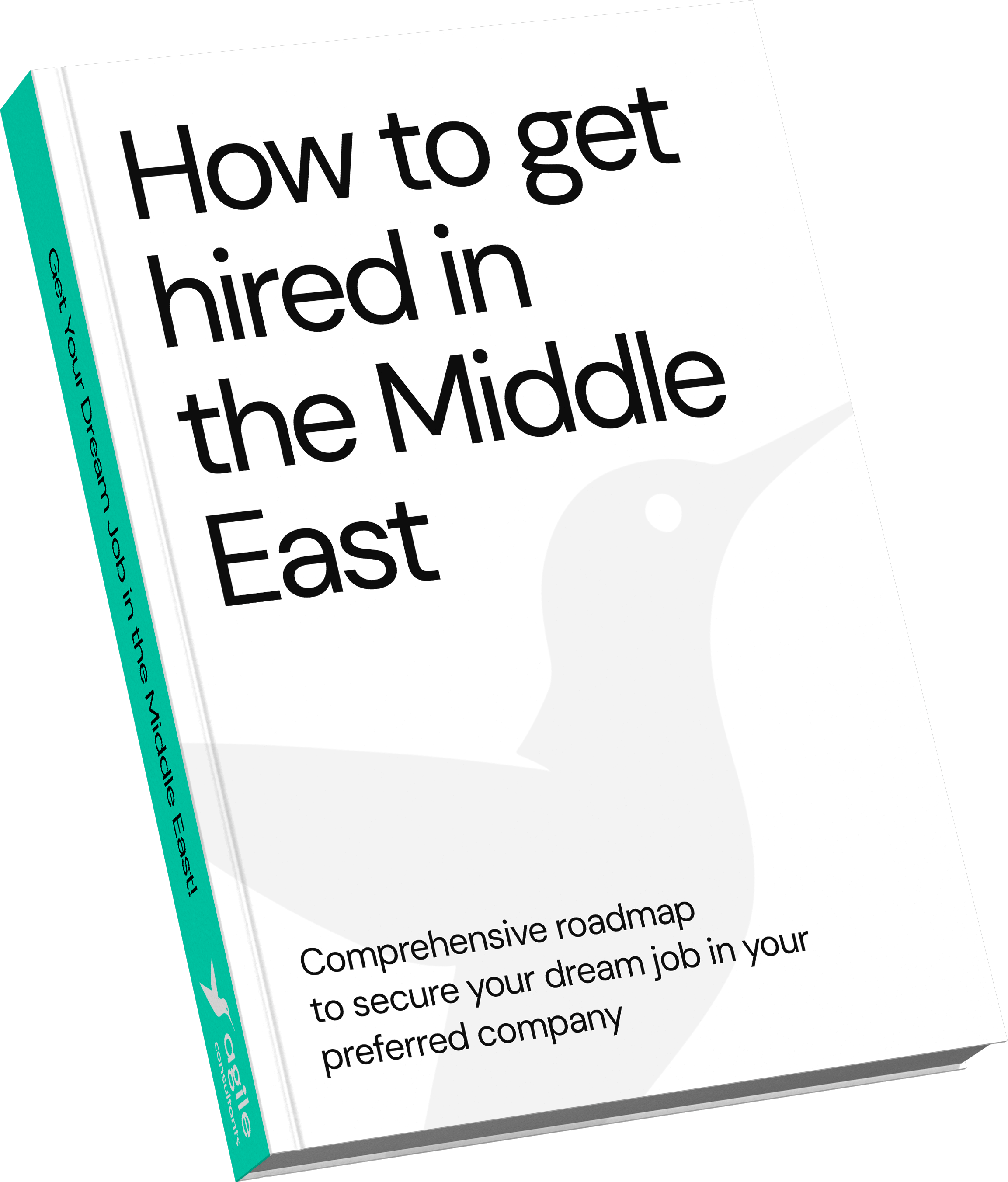 How to Get Hired in the Middle East | Job Search Tips | Agile ...