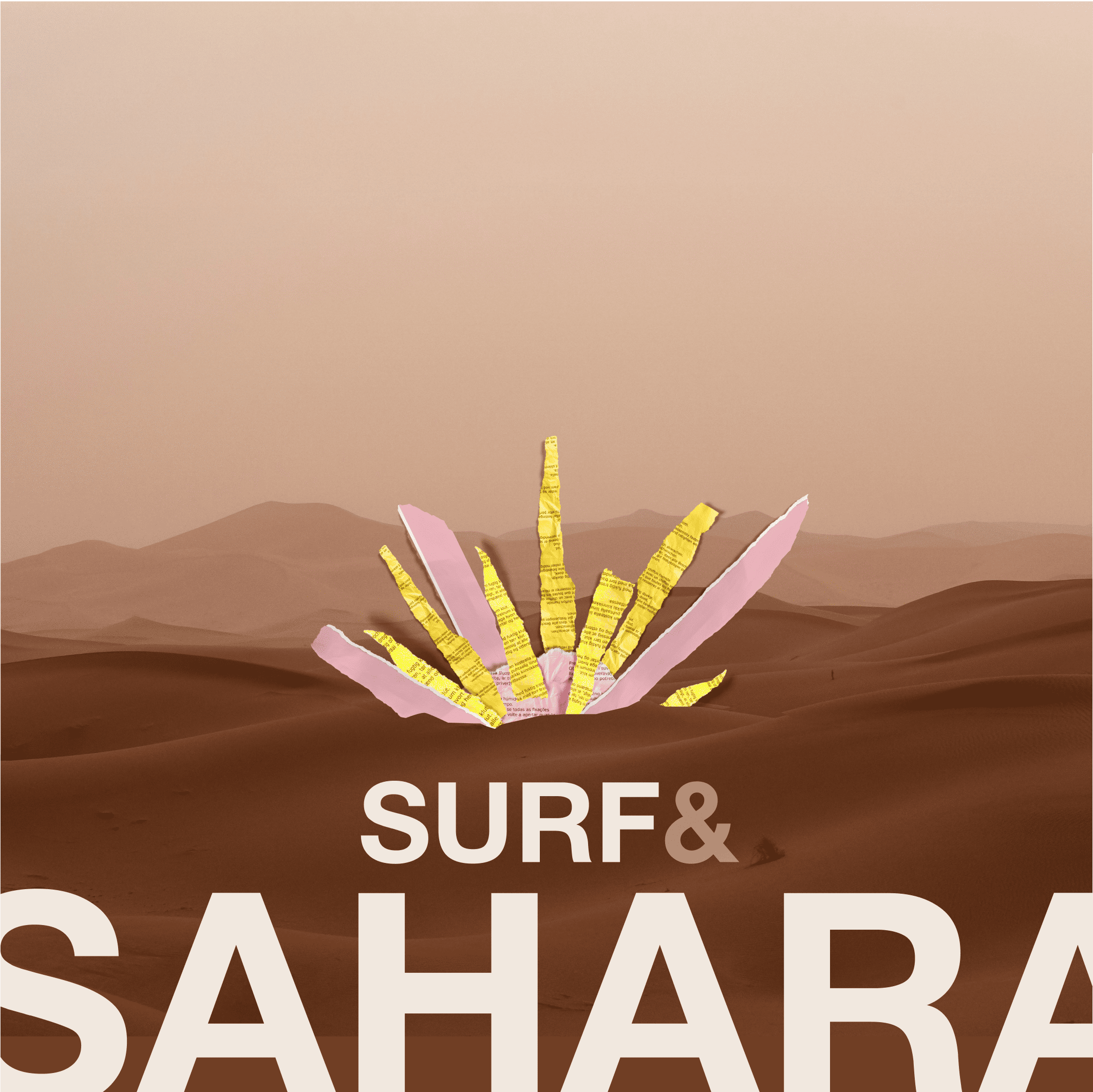 Surf & Sahara - Desert Surf Camp | Ultimate Adventure Package
