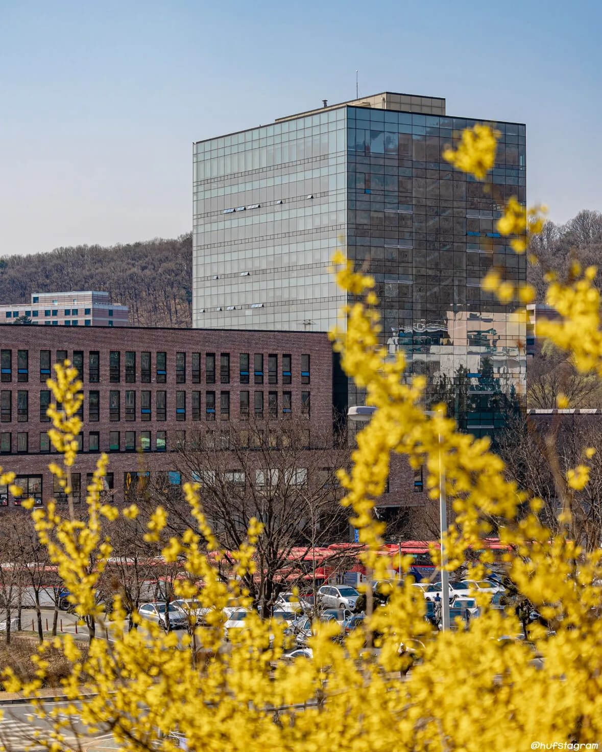 Hankuk University of Foreign Studies