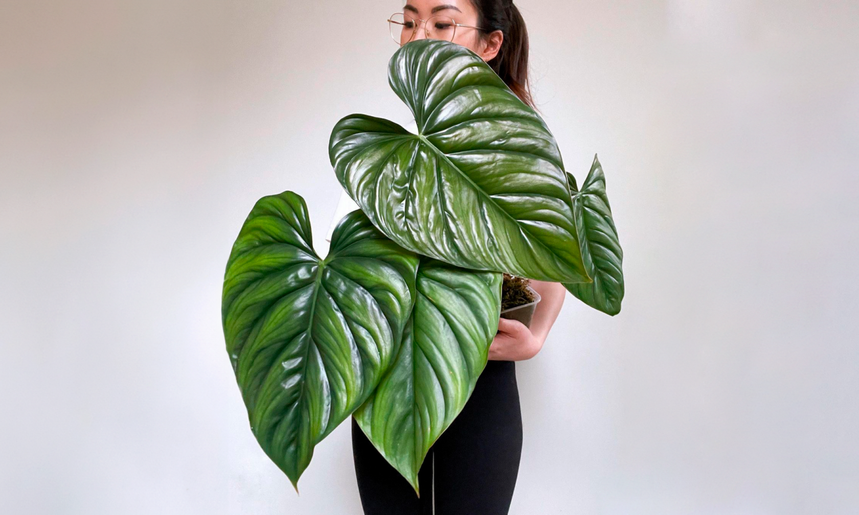 Top Plant Influencers of 2025 To Follow