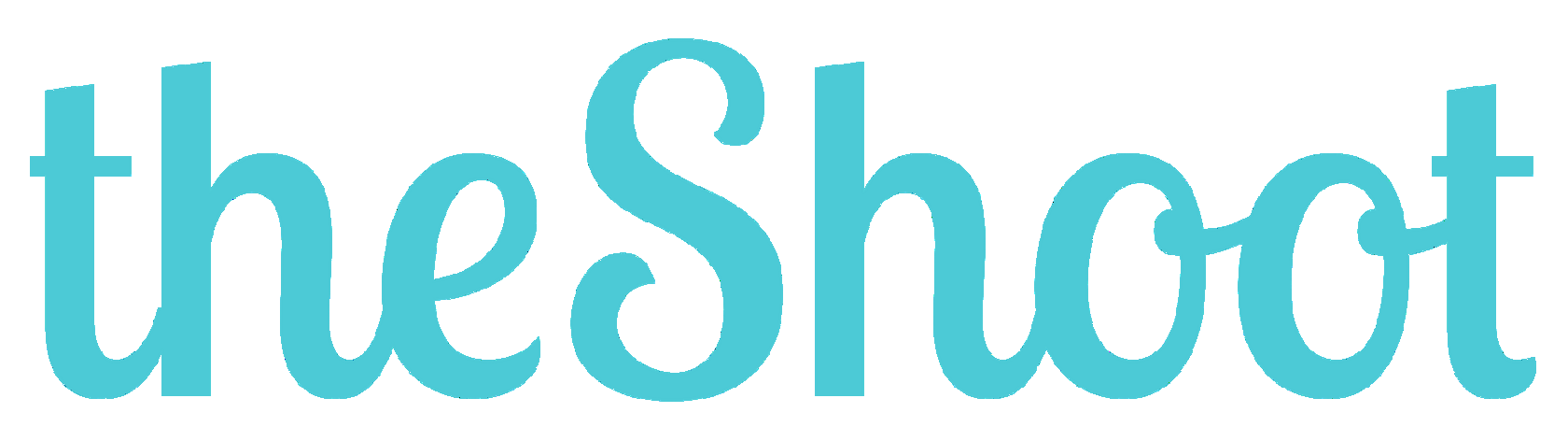 The Shoot Case Study