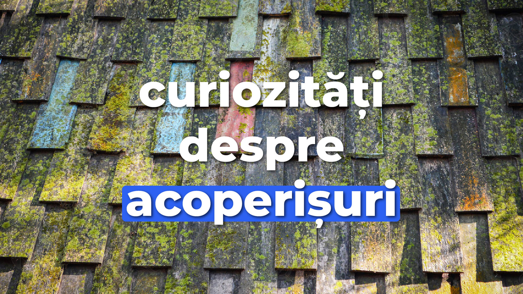 Curiozități despre acoperișuri | flix construct