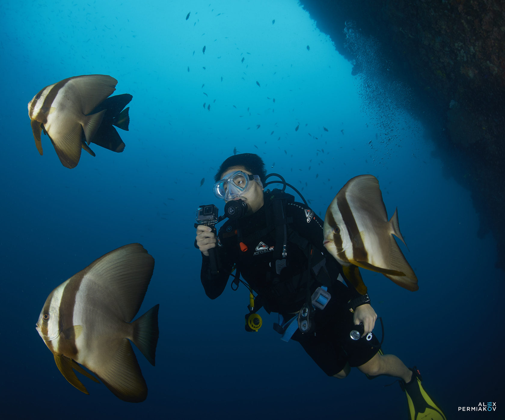 Dive more - Pay less!!!