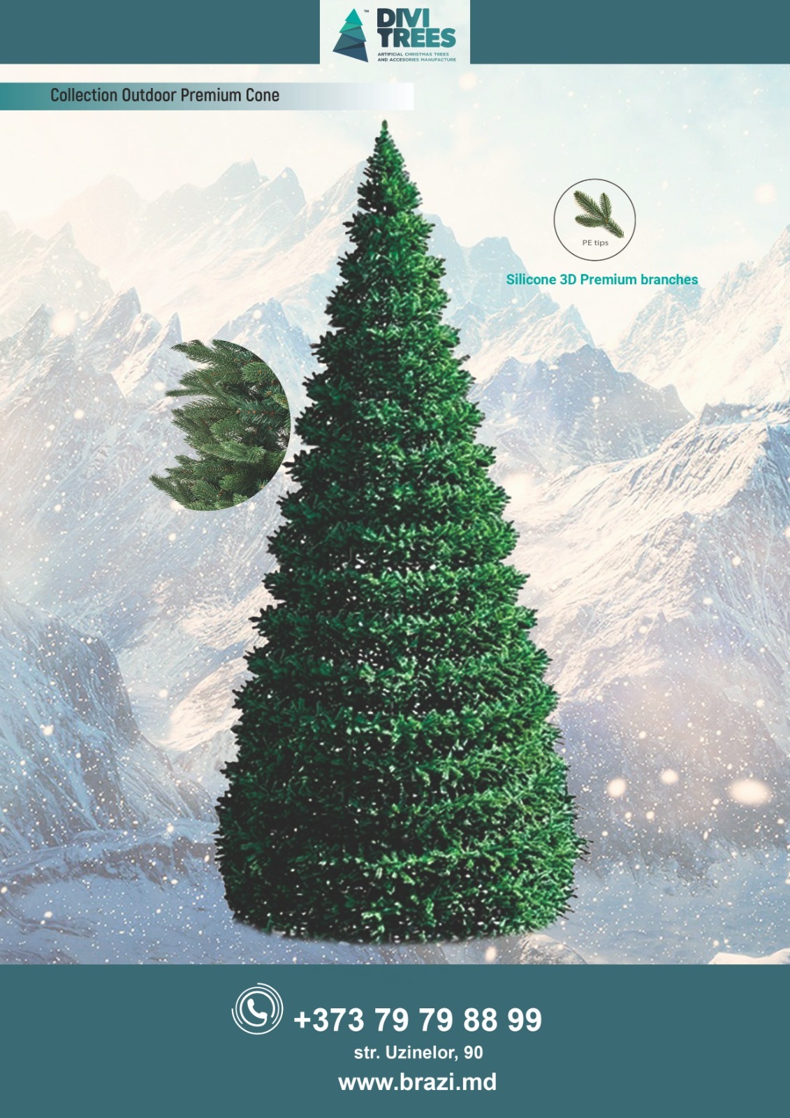 Brazi pentru exterior de marimi Mari — Divi Trees