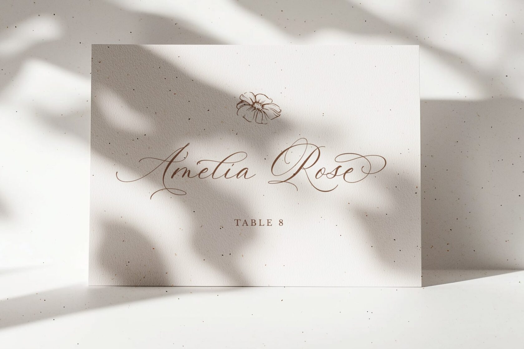 La Rumba Font | Handwritten Calligraphy by Blessed Print