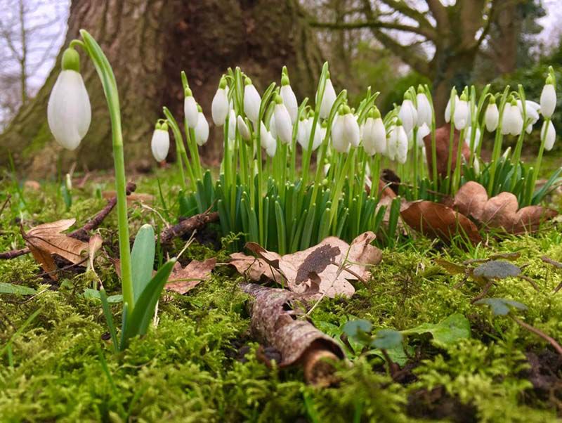 Nature Is The Deepest Root Of Man