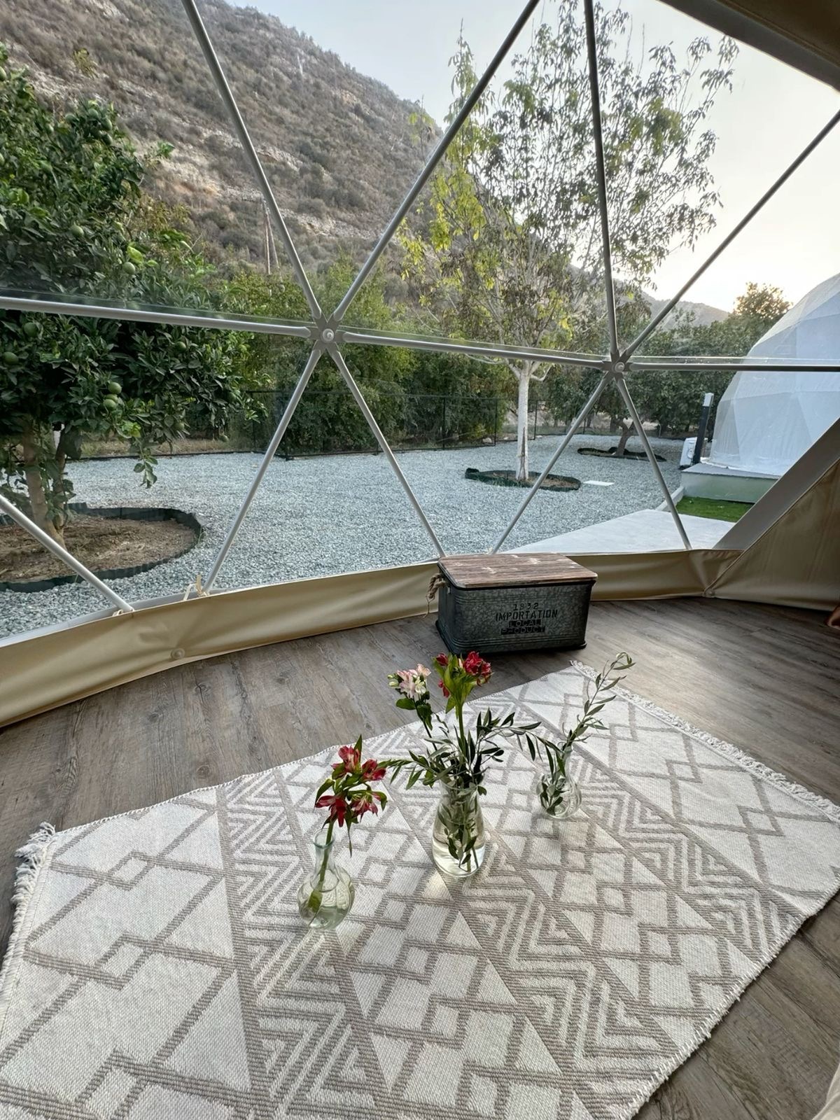 Геометрия Парк