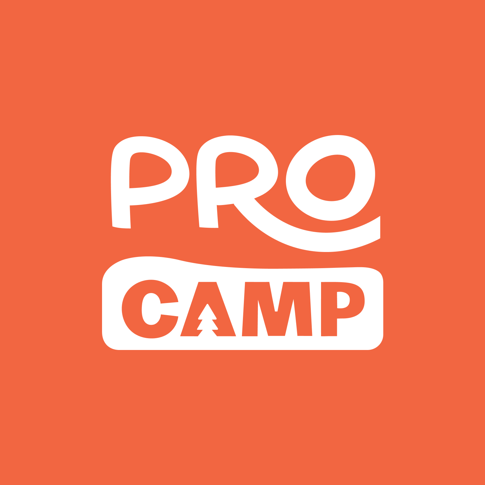 ProCamp - зимовий табір в Карпатах | Портал таборів Едукемп