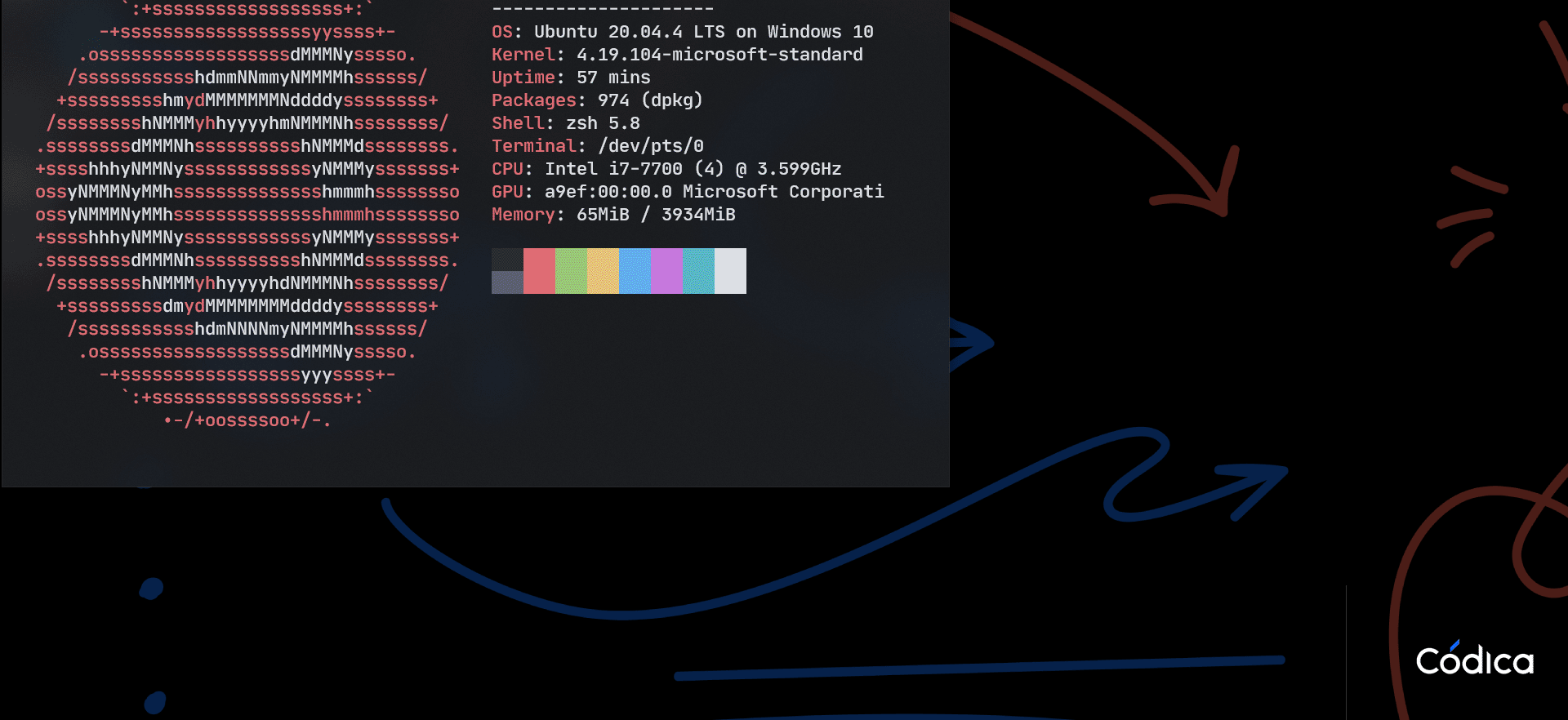 Cómo trabajar con Linux utilizando Windows