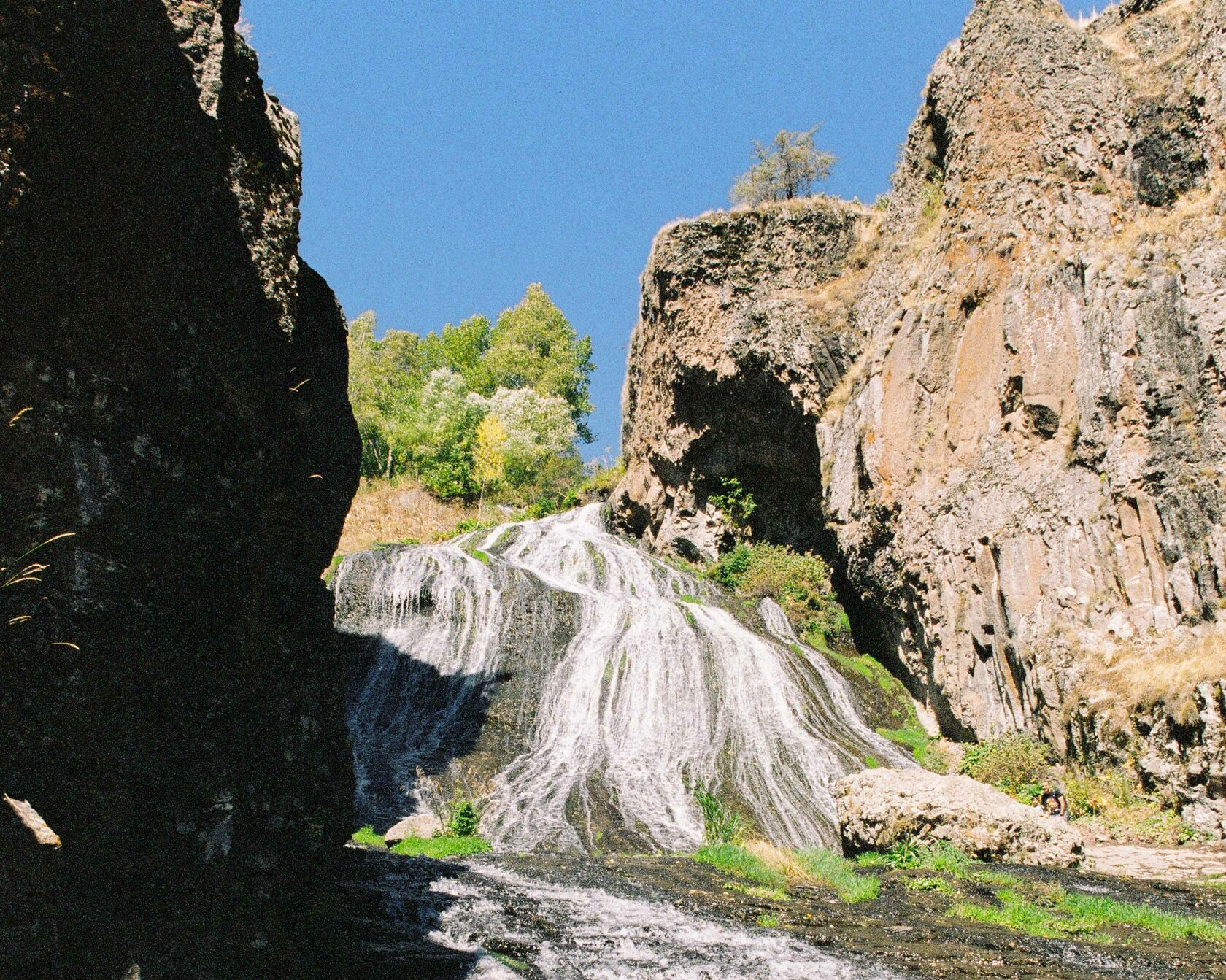 Multifarious Nature