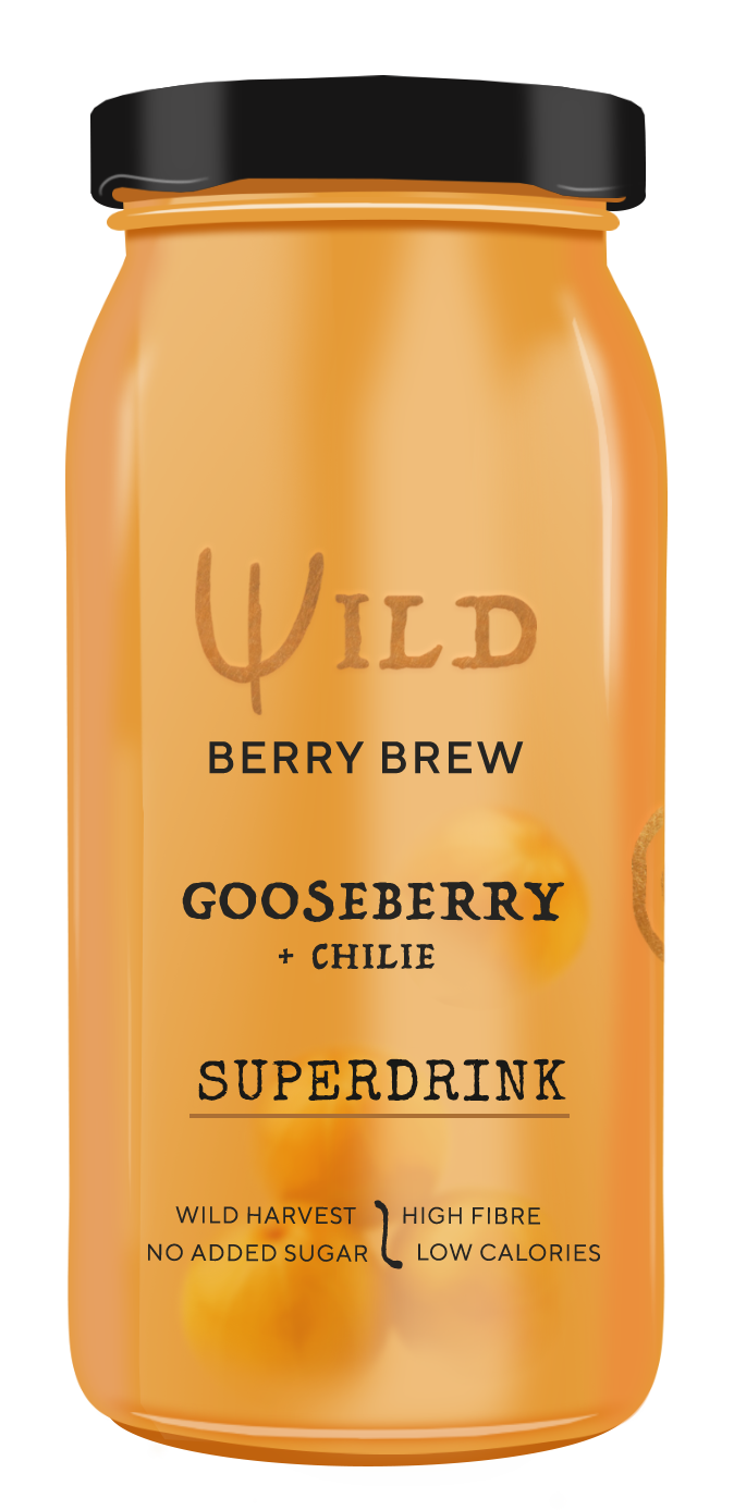 WILD Berry Brew