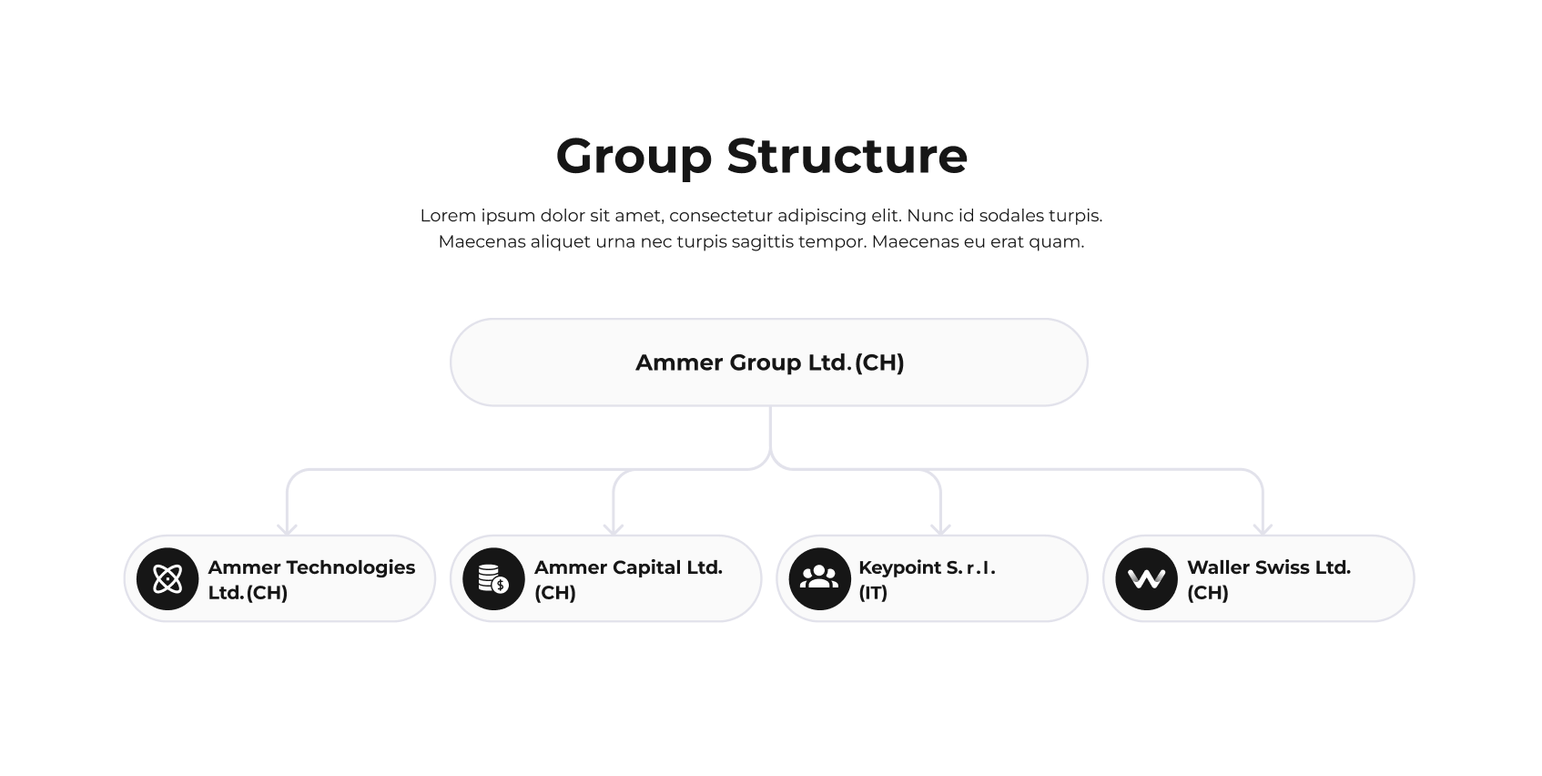 Ammer Group | About