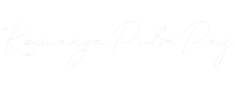 Pulse Payment — Глобальная инфраструктура приёма и отправки платежей ...