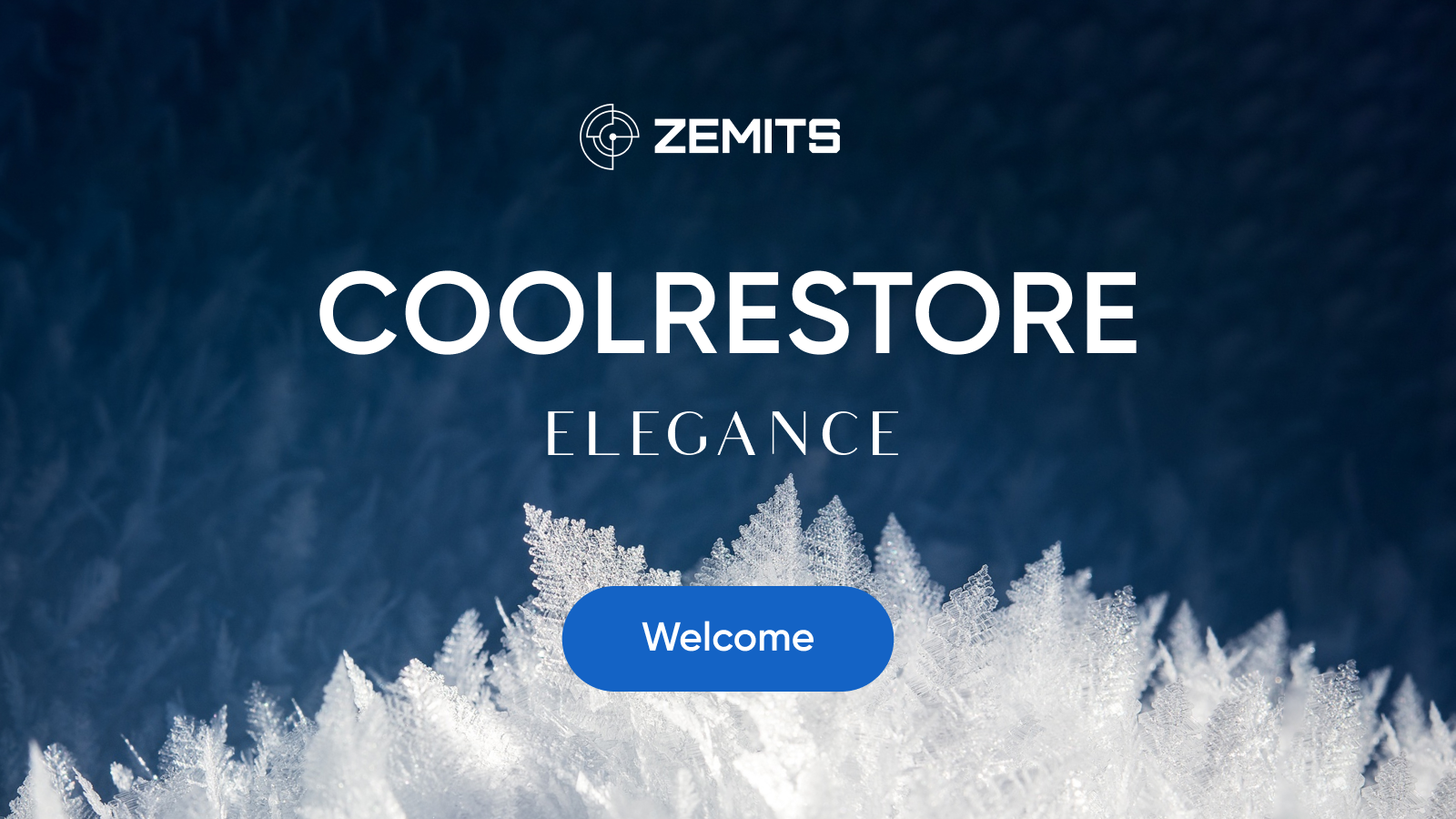 Zemits CoolRestore Elegance Innovative Cryo Sculpting machine for Sale ...