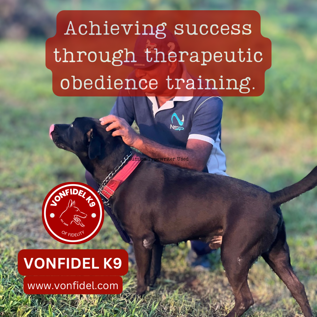 Expert Dog Obedience & Training Services in Sri Lanka – VONFIDEL K9