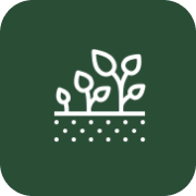 Greeneration | Edible Flowers, Microgreens, Specialities in Dubai