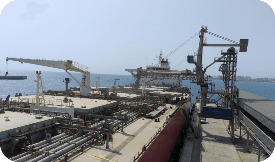 Grain trader in Dubai | Grain trading company Grainstar AST