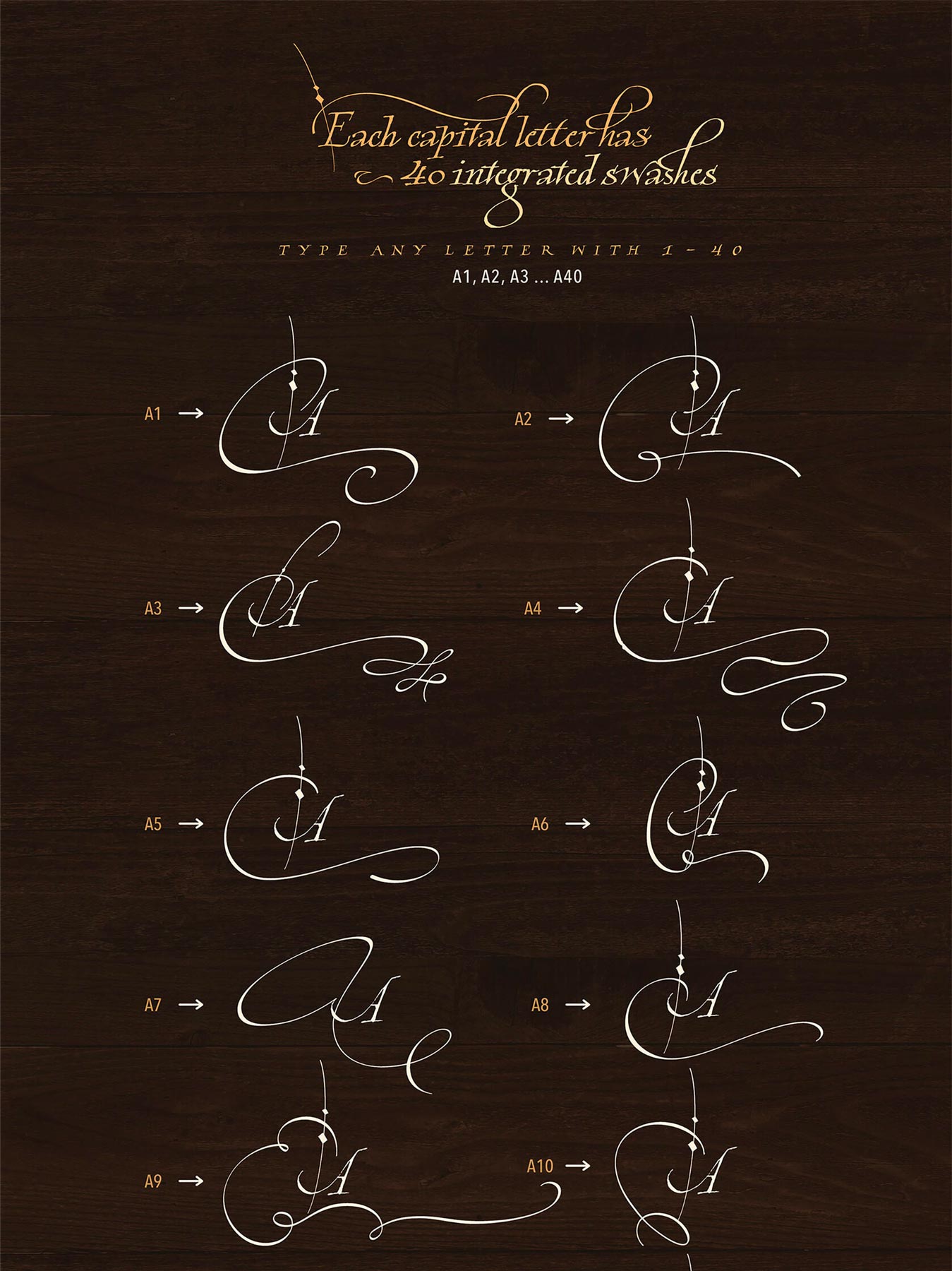 Cardinal Font | Italic Fonts - Blessed Print