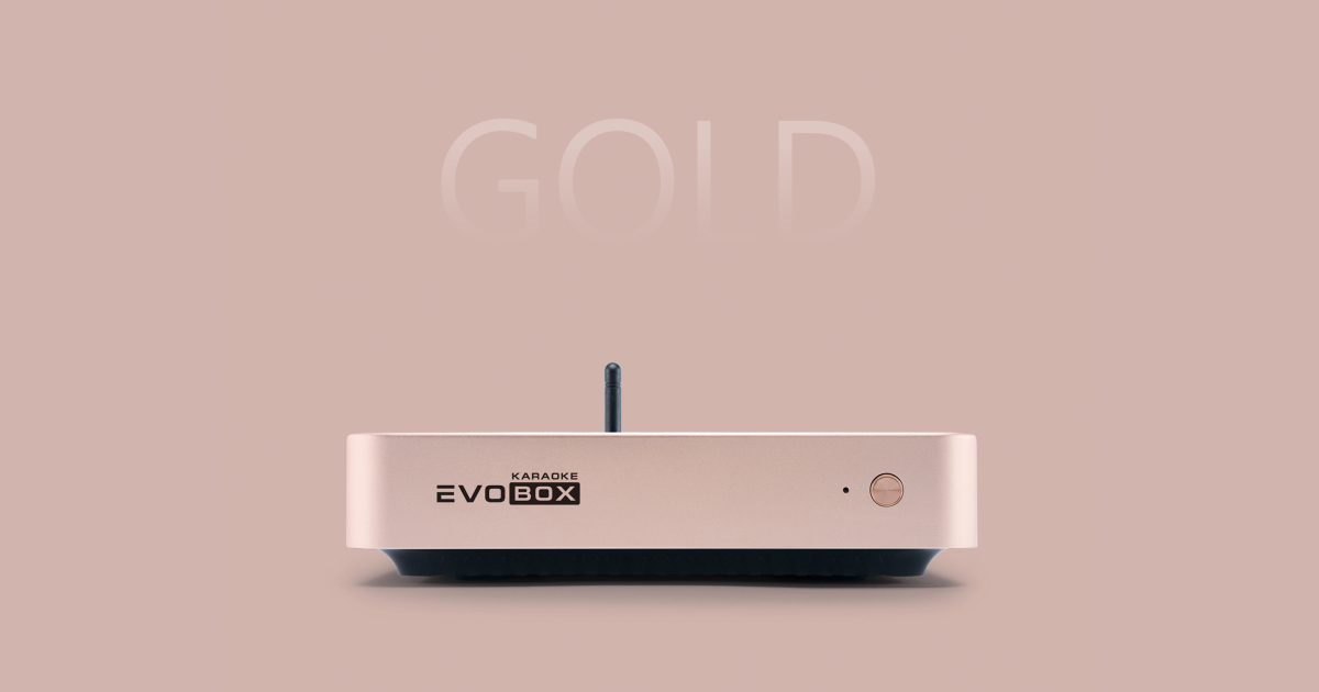 Karaoke system for home EVOBOX Plus Gold by Studio Evolution
