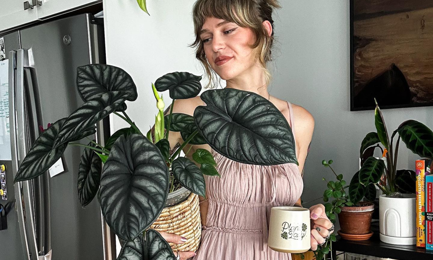 Top Plant Influencers of 2025 To Follow