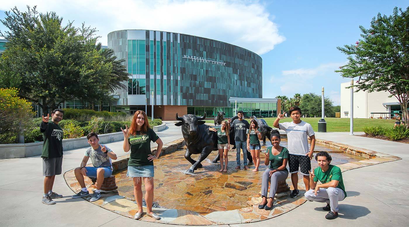 University of South Florida | Університет Південної Флориди