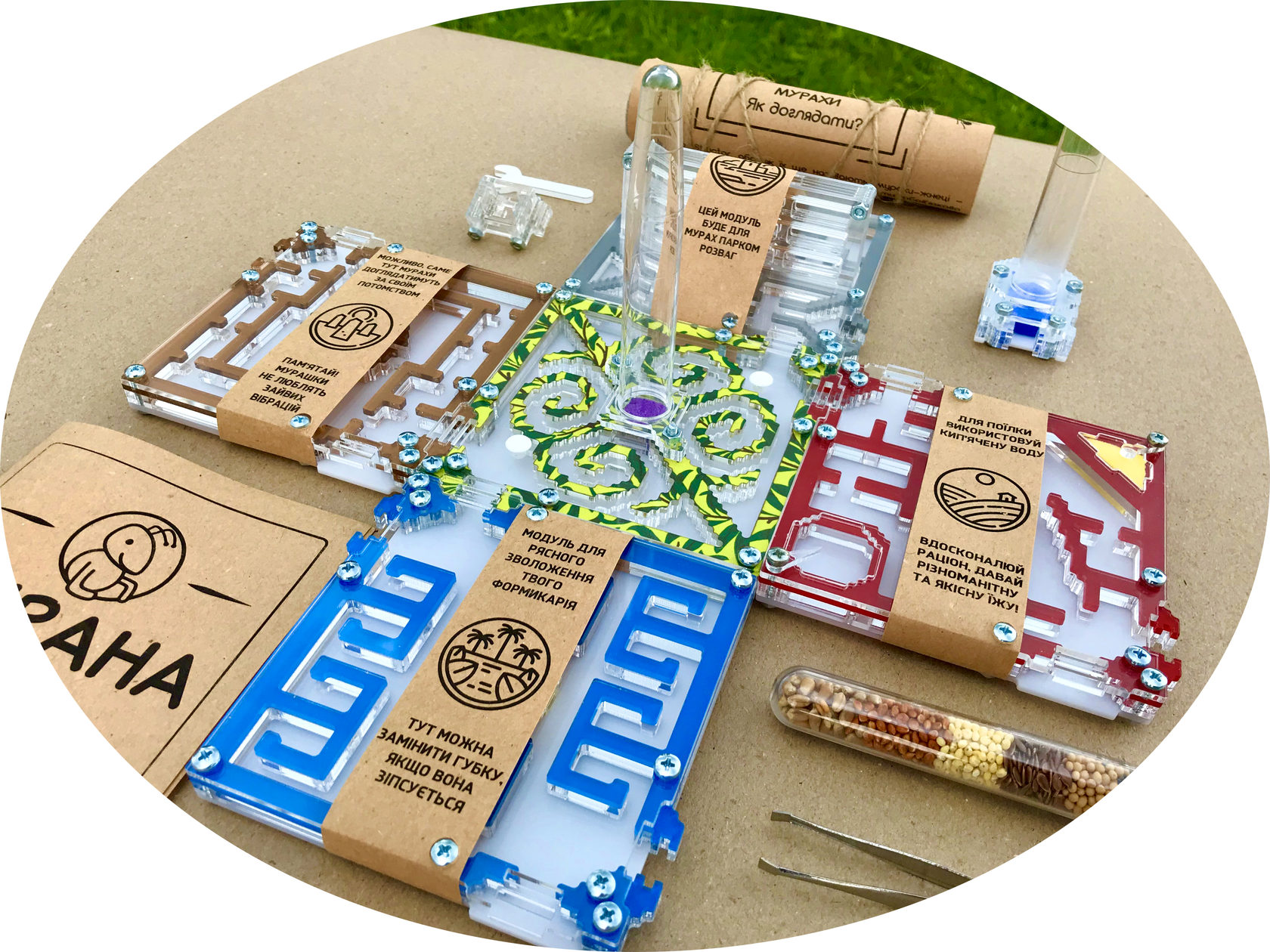 Мурашина ферма ️ формикарій купити в Україні - MURAHA ️