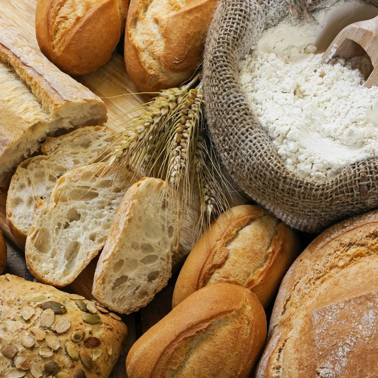Wheat flour exporter in UAE, flour trader | Grainstar AST