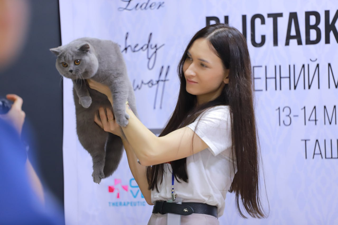 WCF CAT SHOW 2025