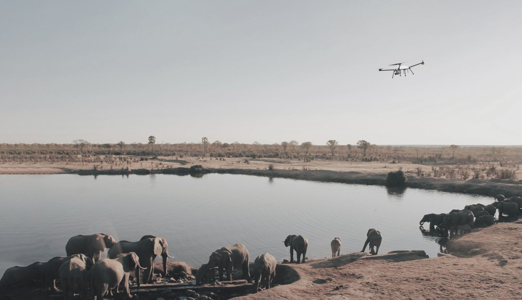 Drones for wildlife protection and anti-poaching