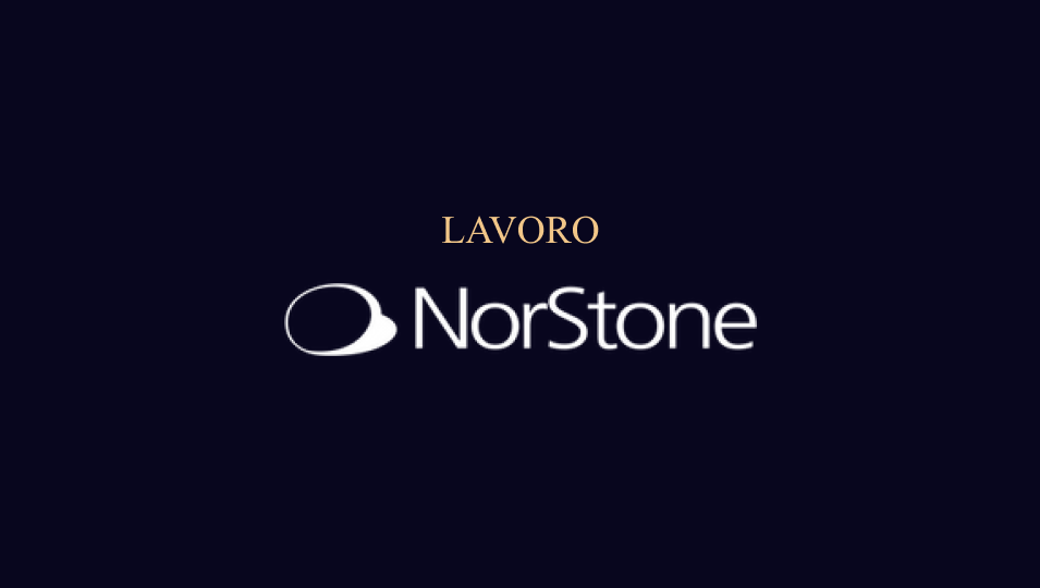 Norstone Logo Norstone Acousteel Damp 100 Ontkoppelaars Voor