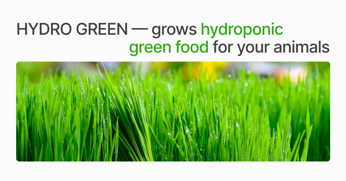HYDROGREEN — we produce green hydroponic animal feed.