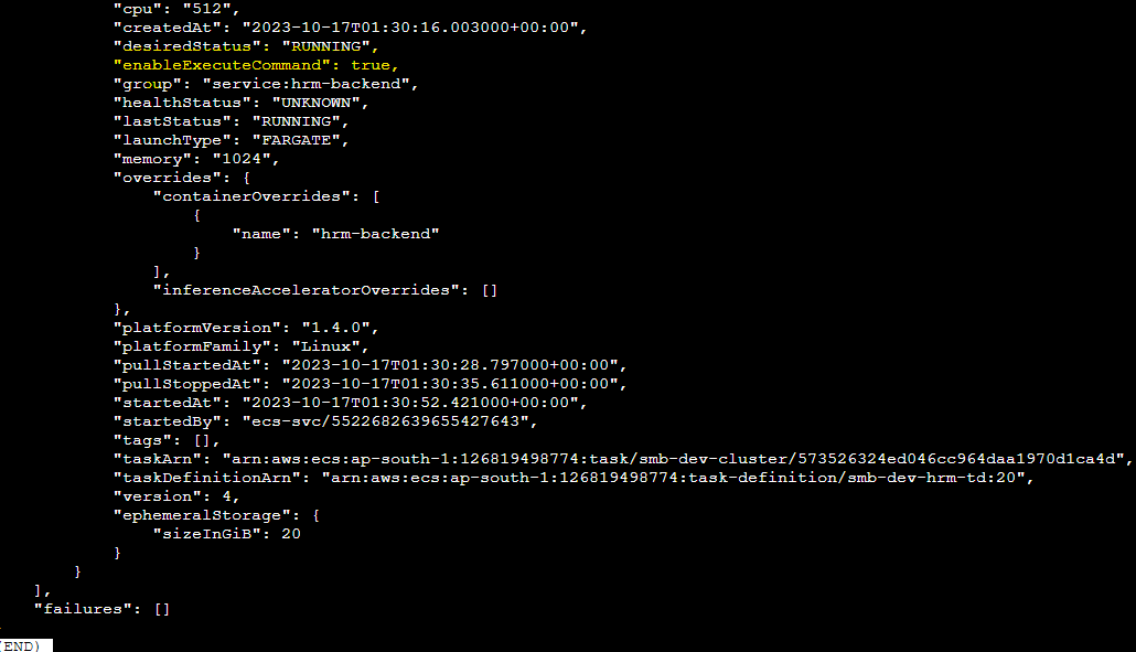 Quick Guide: Logging into Your Fargate Containers on AWS ECS