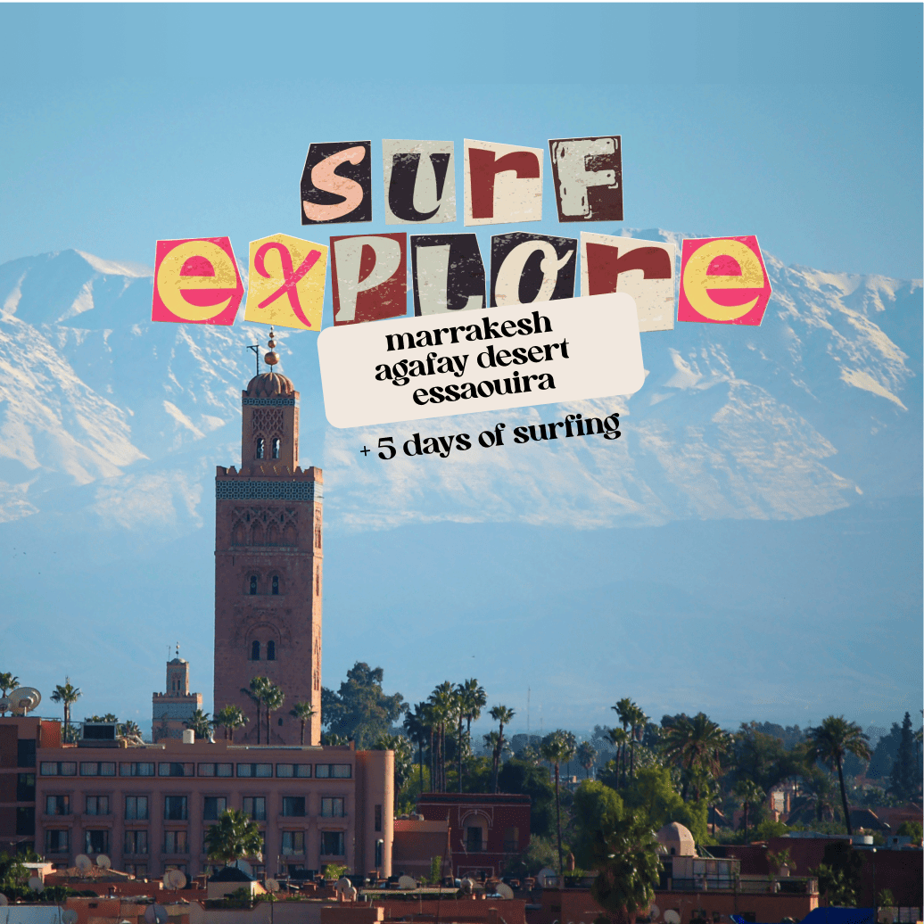 Surf & Explore