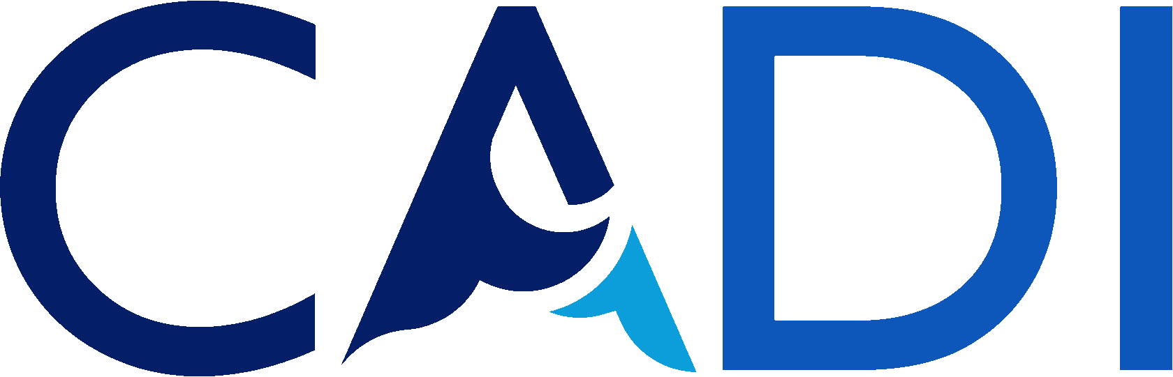 Central Asian Development Institute (CADI)