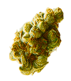 Weed Delivery Boston - Zyp Run