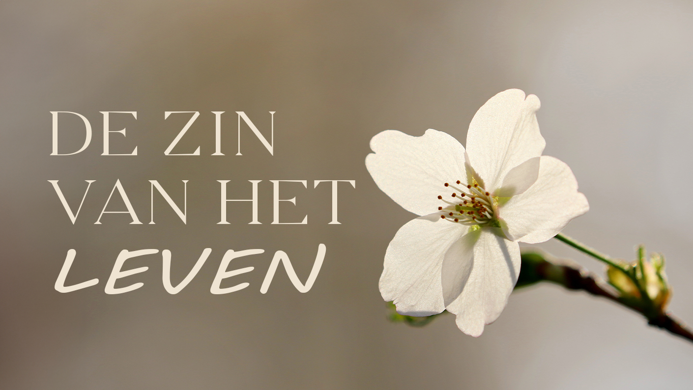 De zin van het leven