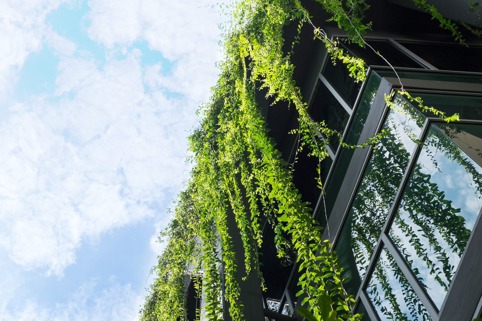 Sustainability at Neu Frame: revolutionizing eco-friendly construction