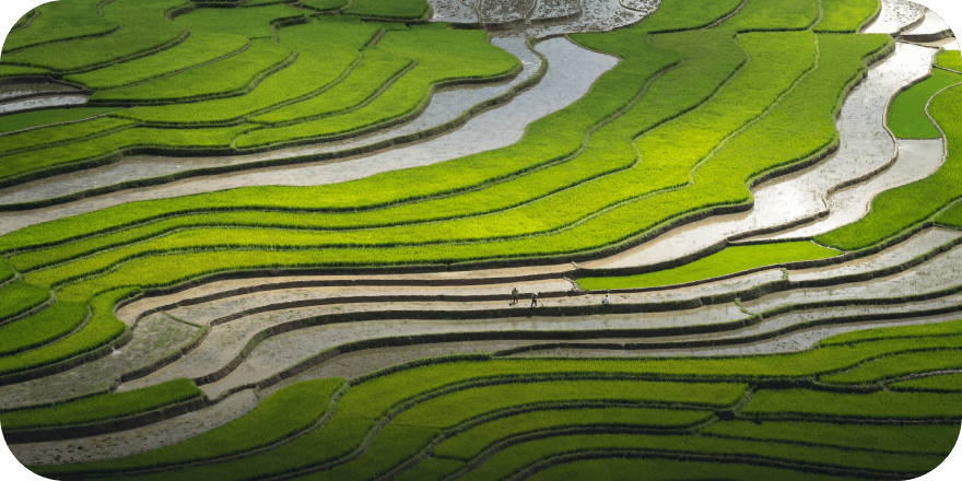 Grain trader in Dubai | Grain trading company Grainstar AST