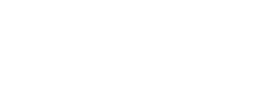Zyp Run: The Fastest Weed Delivery Service in Boston