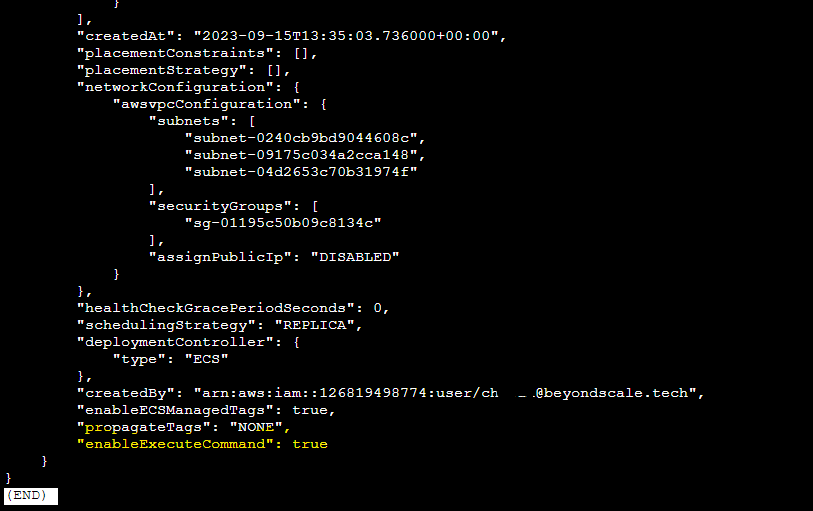 Quick Guide: Logging into Your Fargate Containers on AWS ECS Quick Guide: Logging into Your Fargate Containers on AWS ECS