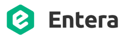 Entera Global – India – Automated Data Entry for CA, Accountants and ...