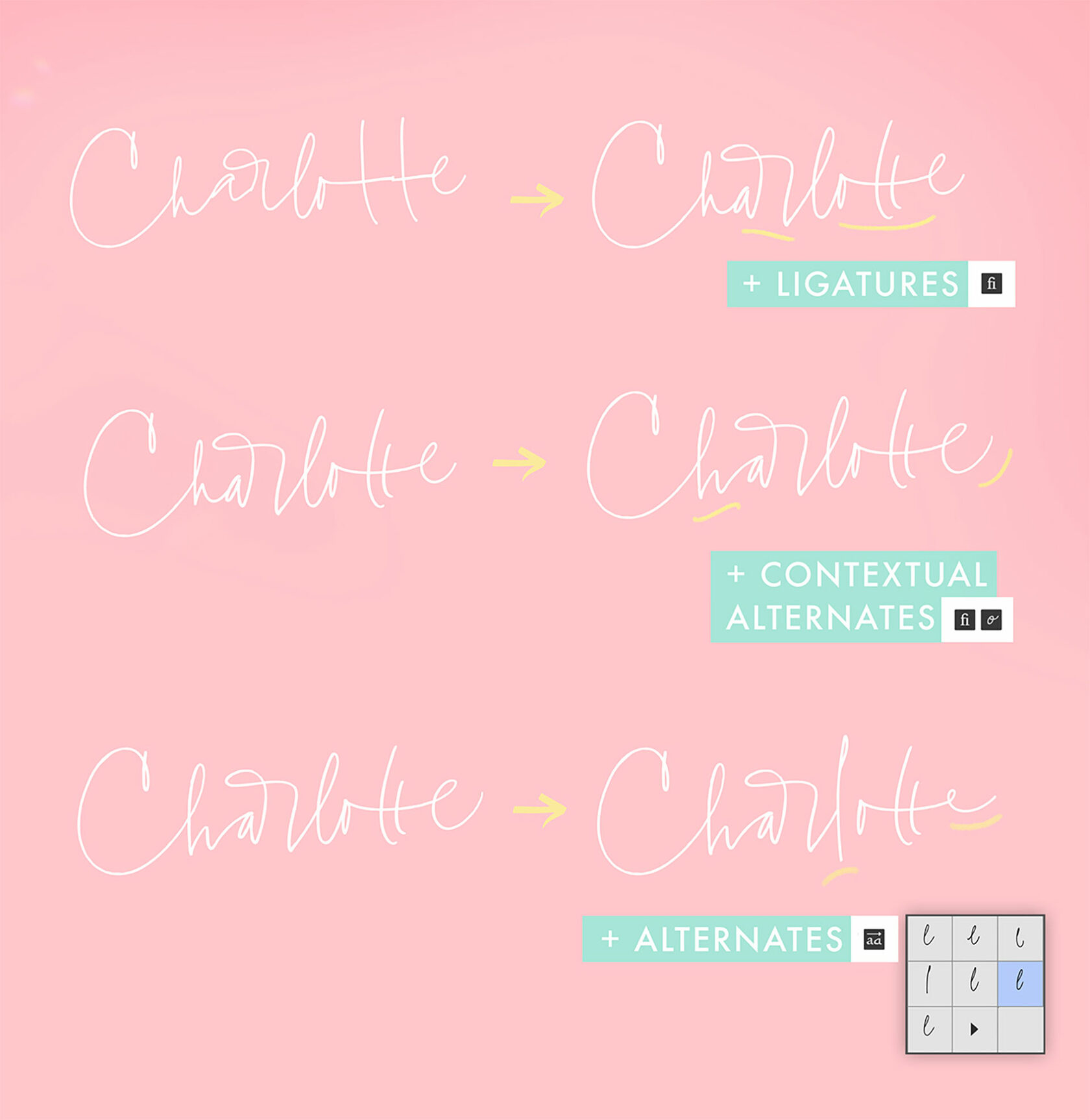 Charlotte Font| Script Fonts - Blessed Print