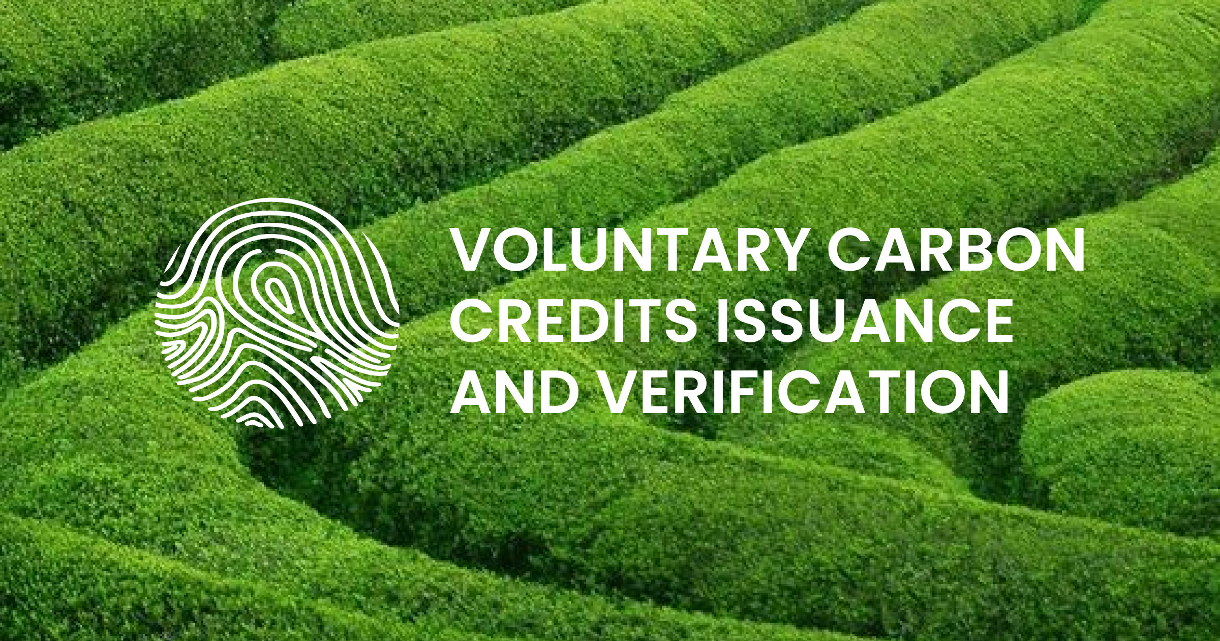Voluntary Carbon Credits Issuance and Verification