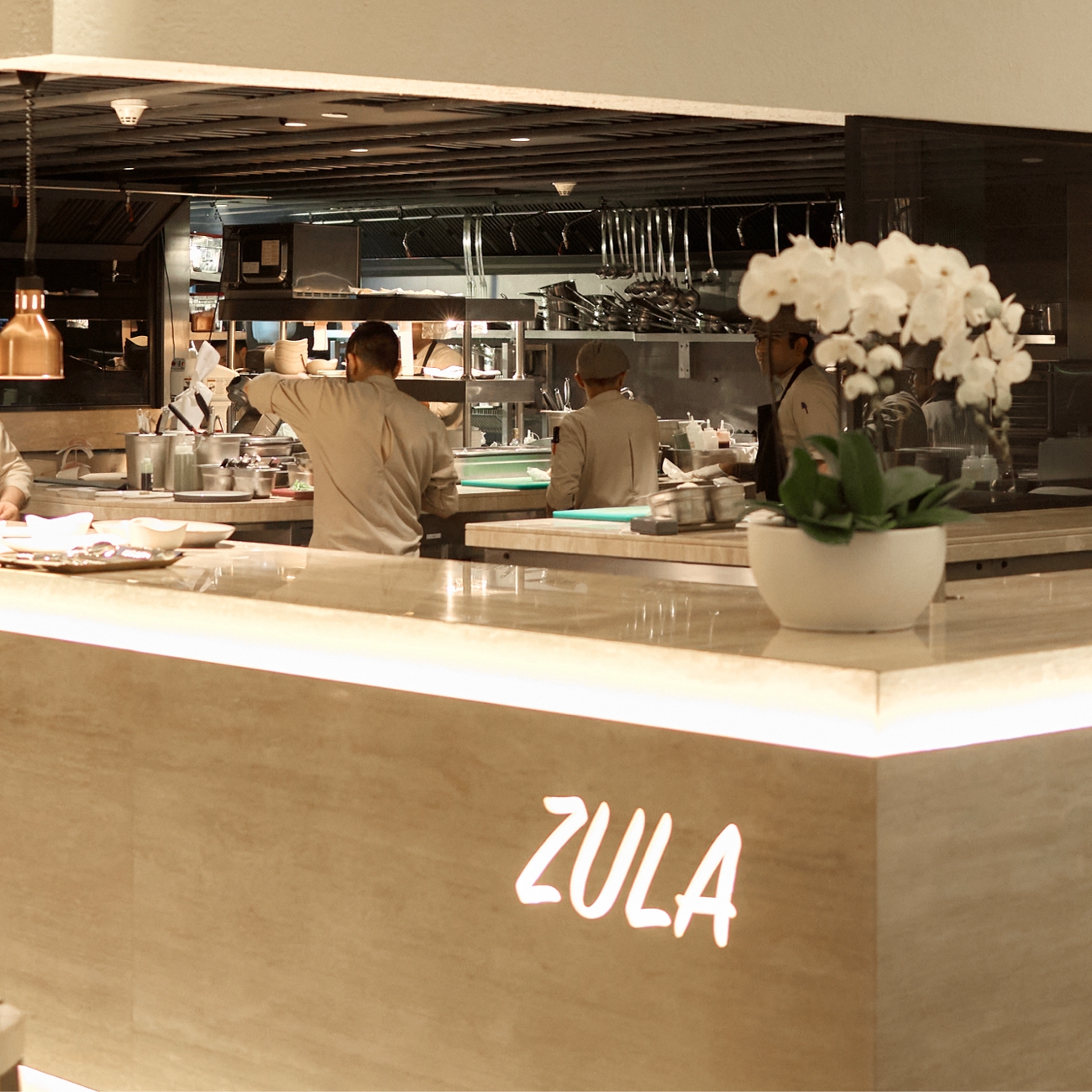 ZULA | Gallery