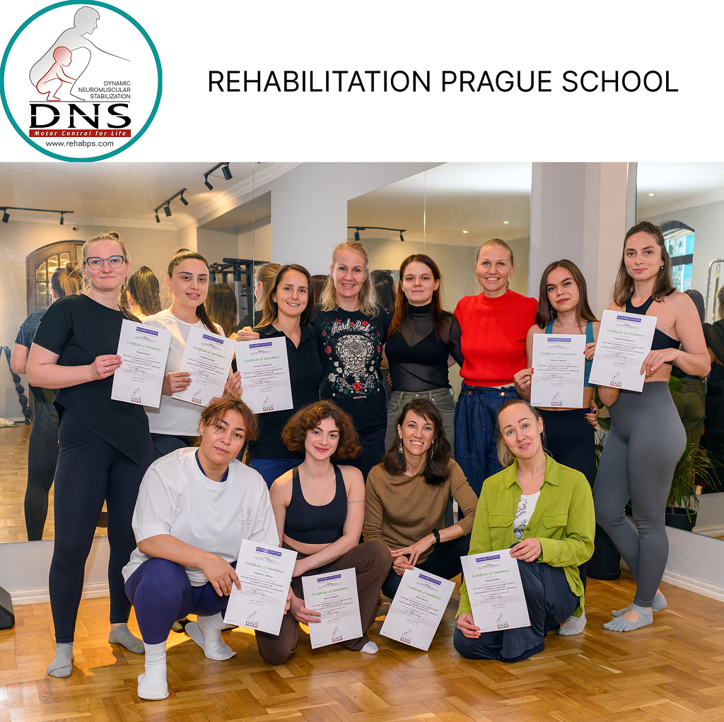 Education — Dynamic Neuromuscular Stabilization (DNS)