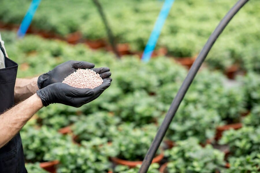 Zeolite in Agriculture: How to Improve Soil Fertility and Plant Growth ...