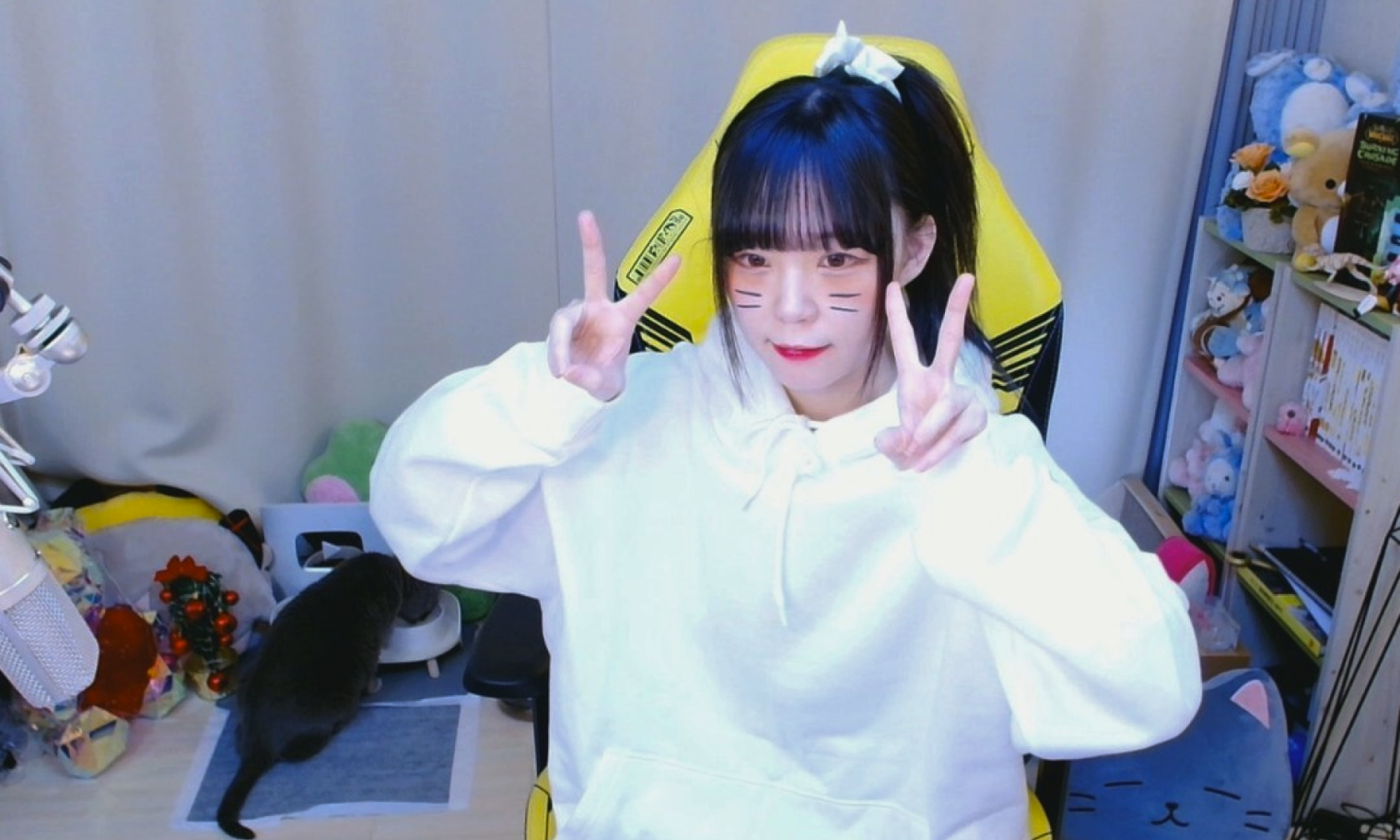 Top 20 Female Twitch Streamers to Watch in 2025 | Influencer Marketing ...