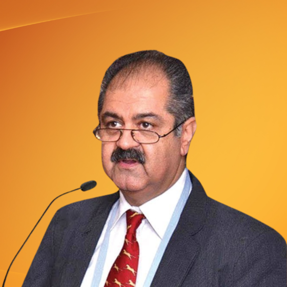 Ultrasound for Gynecology Summer Meeting 2024