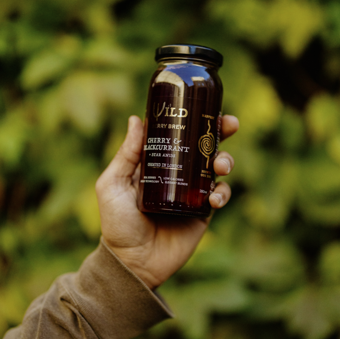 Partner with us | Wild Berry Brew Drink